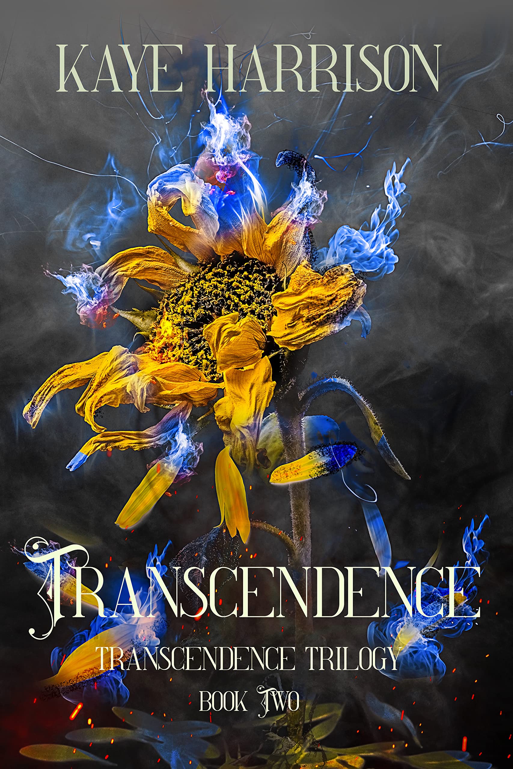 Transcendence (Transcendence Trilogy Book 2) by Kaye Harrison | Goodreads