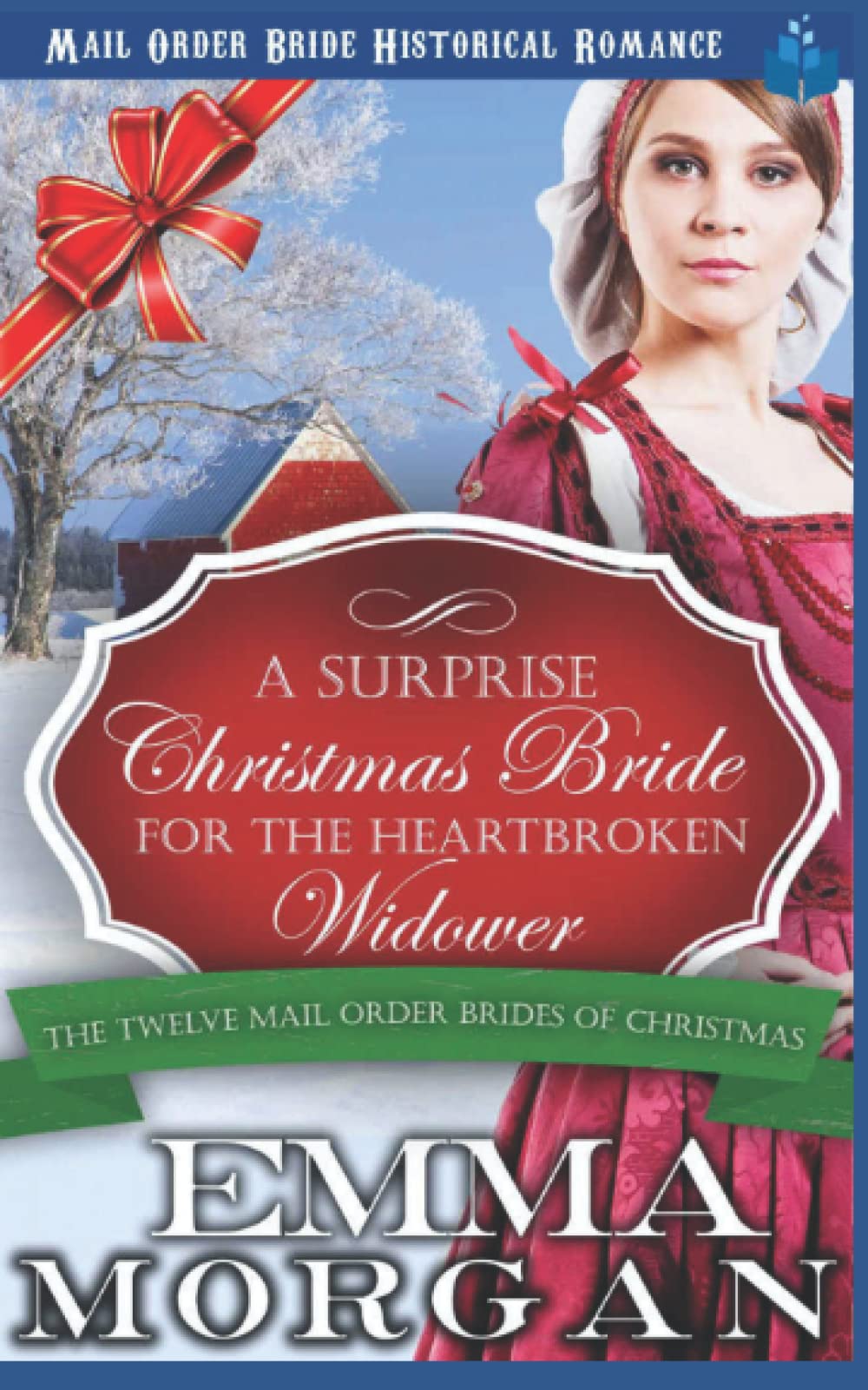 A Surprise Christmas Bride For The Heartbroken Widower: The Twelve Mail ...