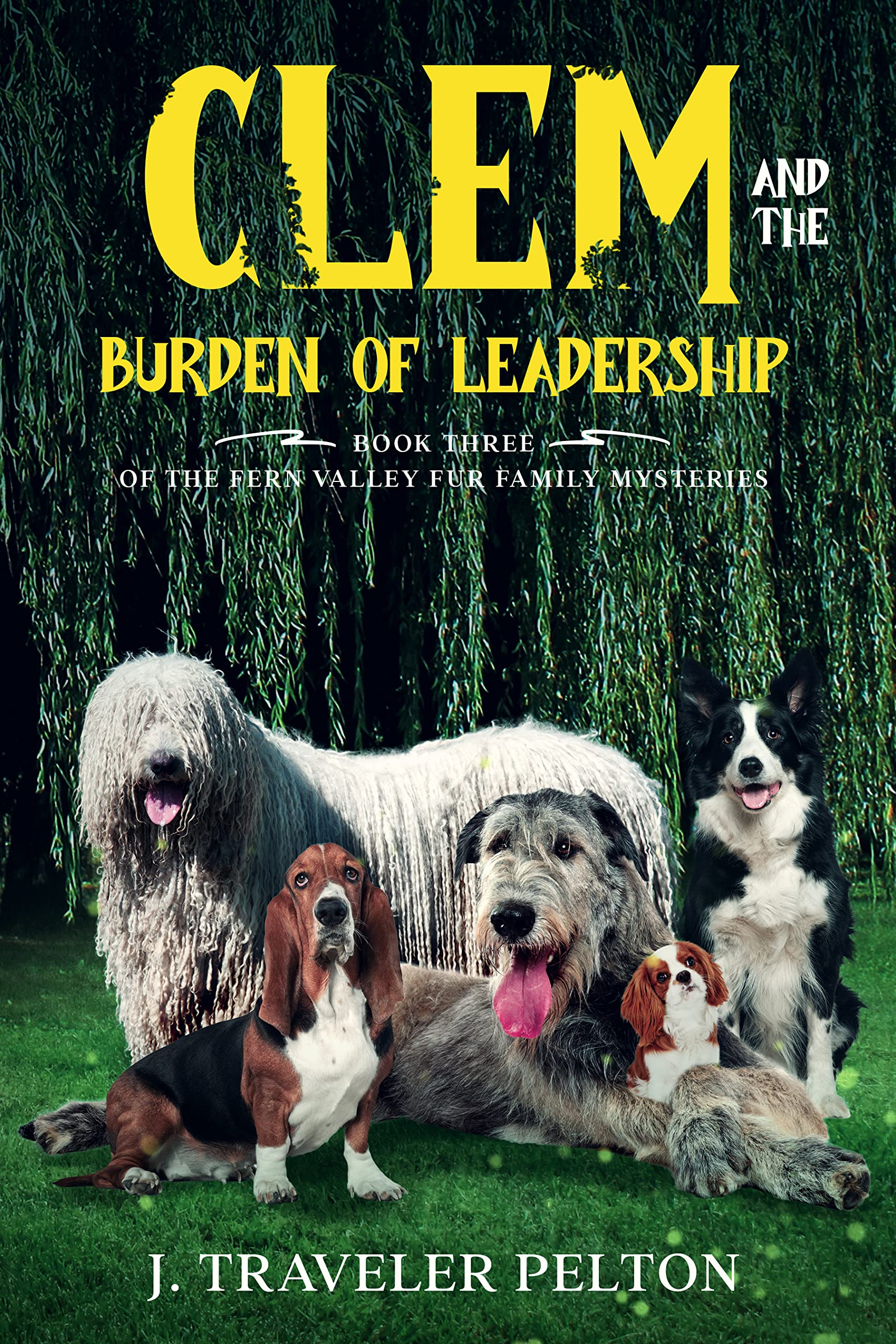 Clem and the Burden of Leadership: BookThree of the Fern Valley Fur ...