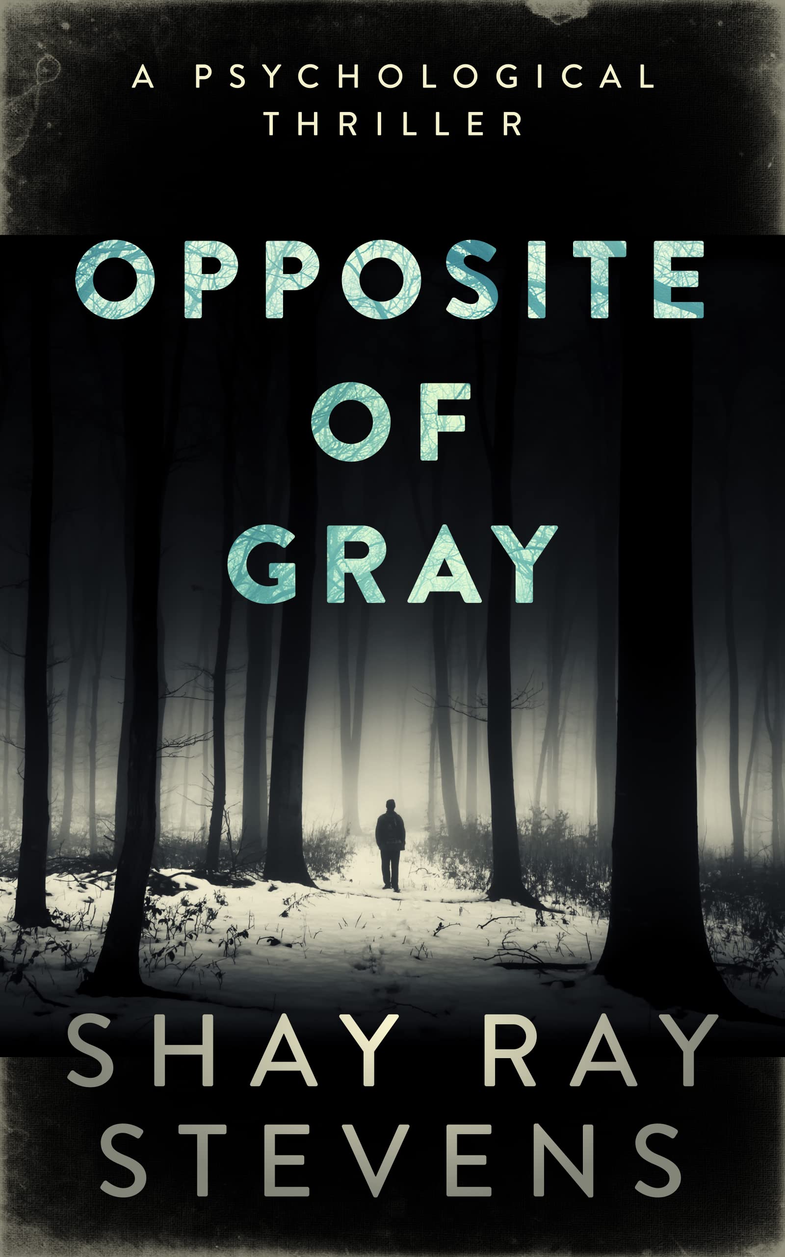 Opposite of Gray by Shay Ray Stevens | Goodreads