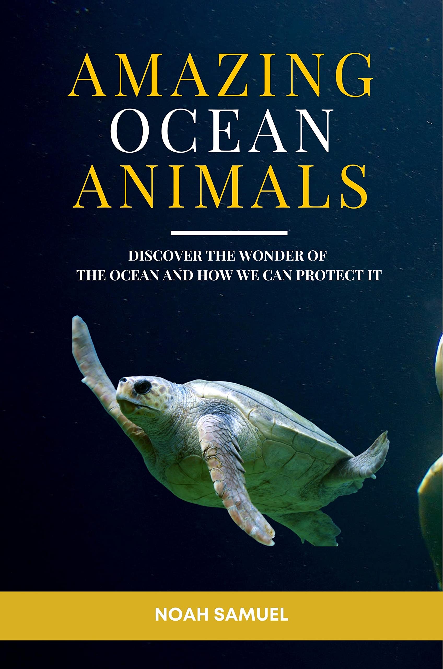 Amazing Ocean Animals: Discover the wonder of the ocean and how we can ...