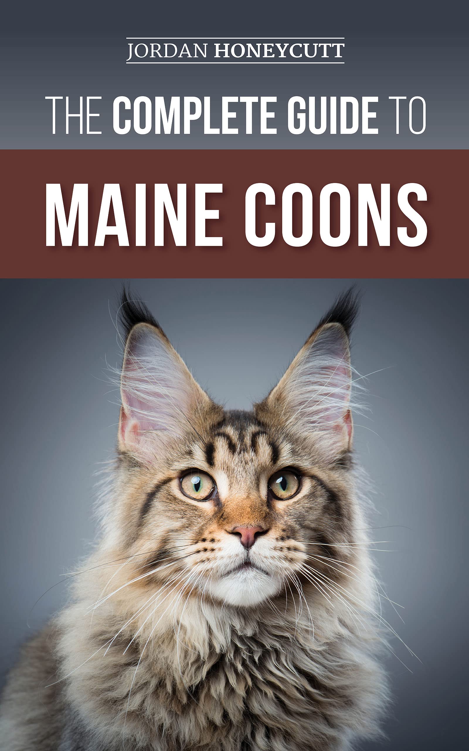 The Complete Guide to Maine Coons: Finding, Preparing for, Feeding ...