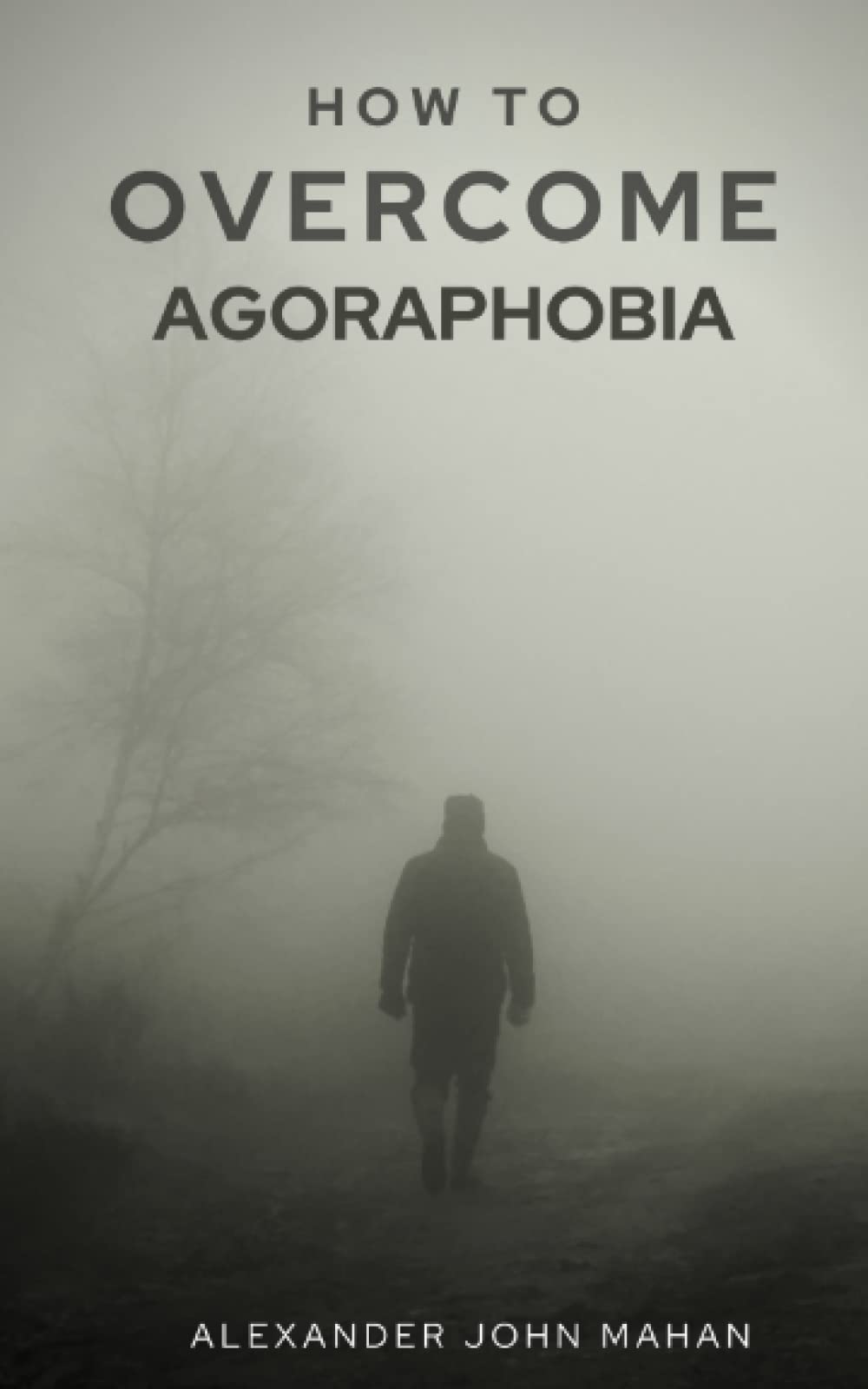 How to Overcome Agoraphobia by Alexander John Mahan | Goodreads