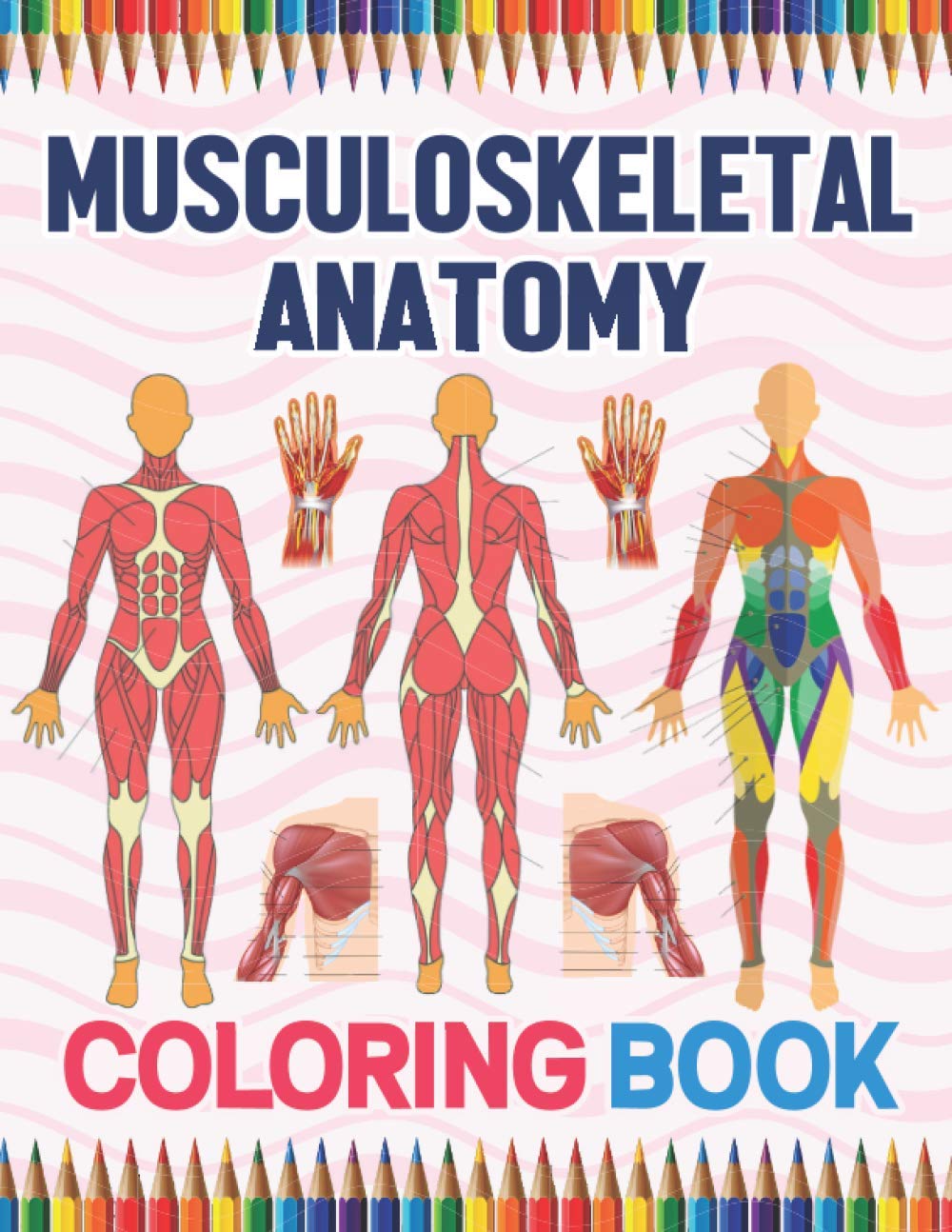 Musculoskeletal Anatomy Coloring Book: Human Body And Human Anatomy ...