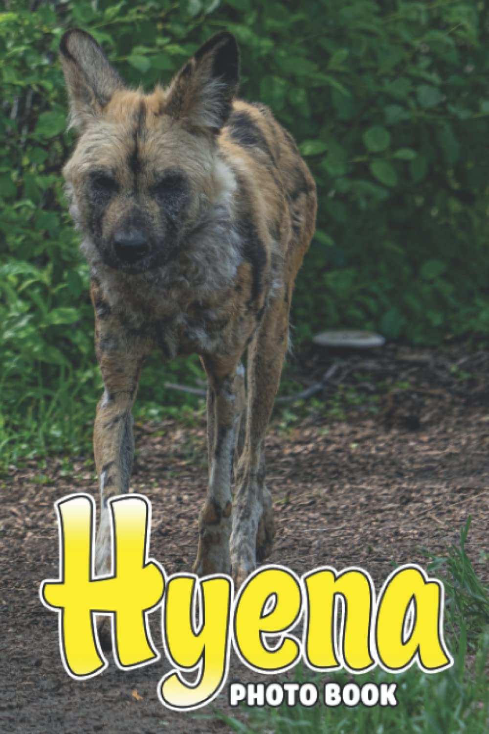 Hyena Photo Book: Mystery Wild Animals Colorful Pictures For Adults To ...