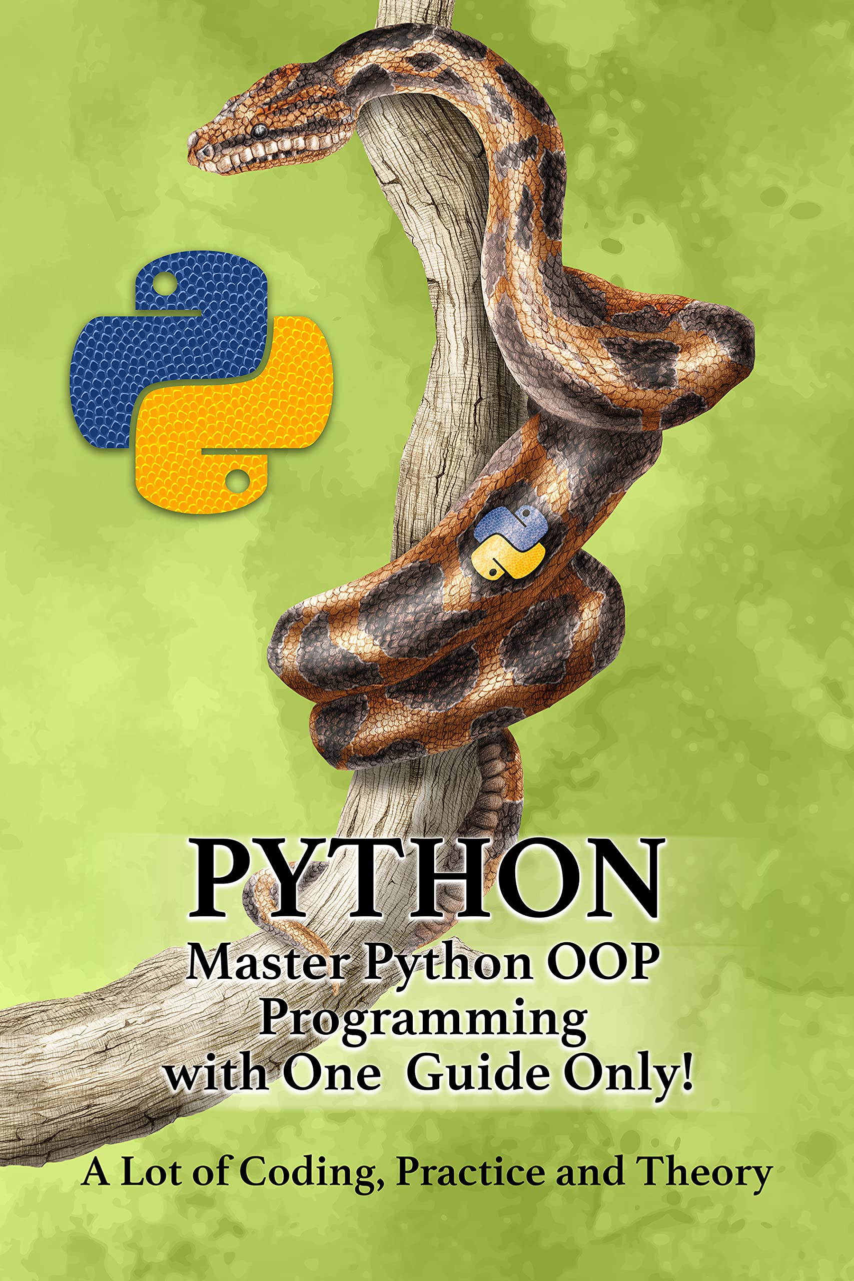 PYTHON Master Python OOP Programming With One Guide Only A Lot Of 