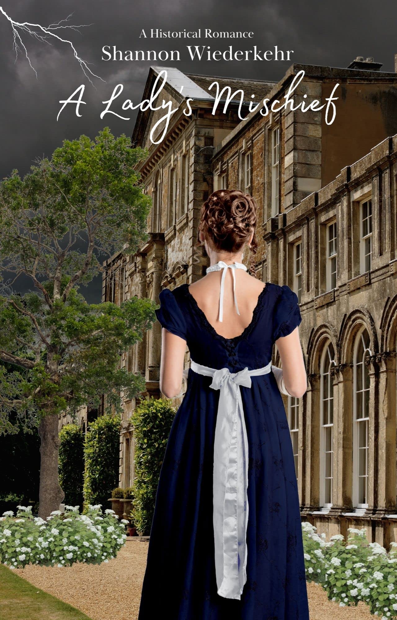 A Lady's Mischief: A Prequel to A Lady's Scheme by Shannon Wiederkehr ...