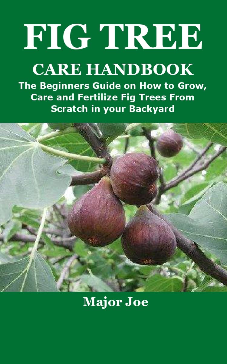 FIG TREE CARE HANDBOOK: The Beginners Guide on How to Grow,Care and ...