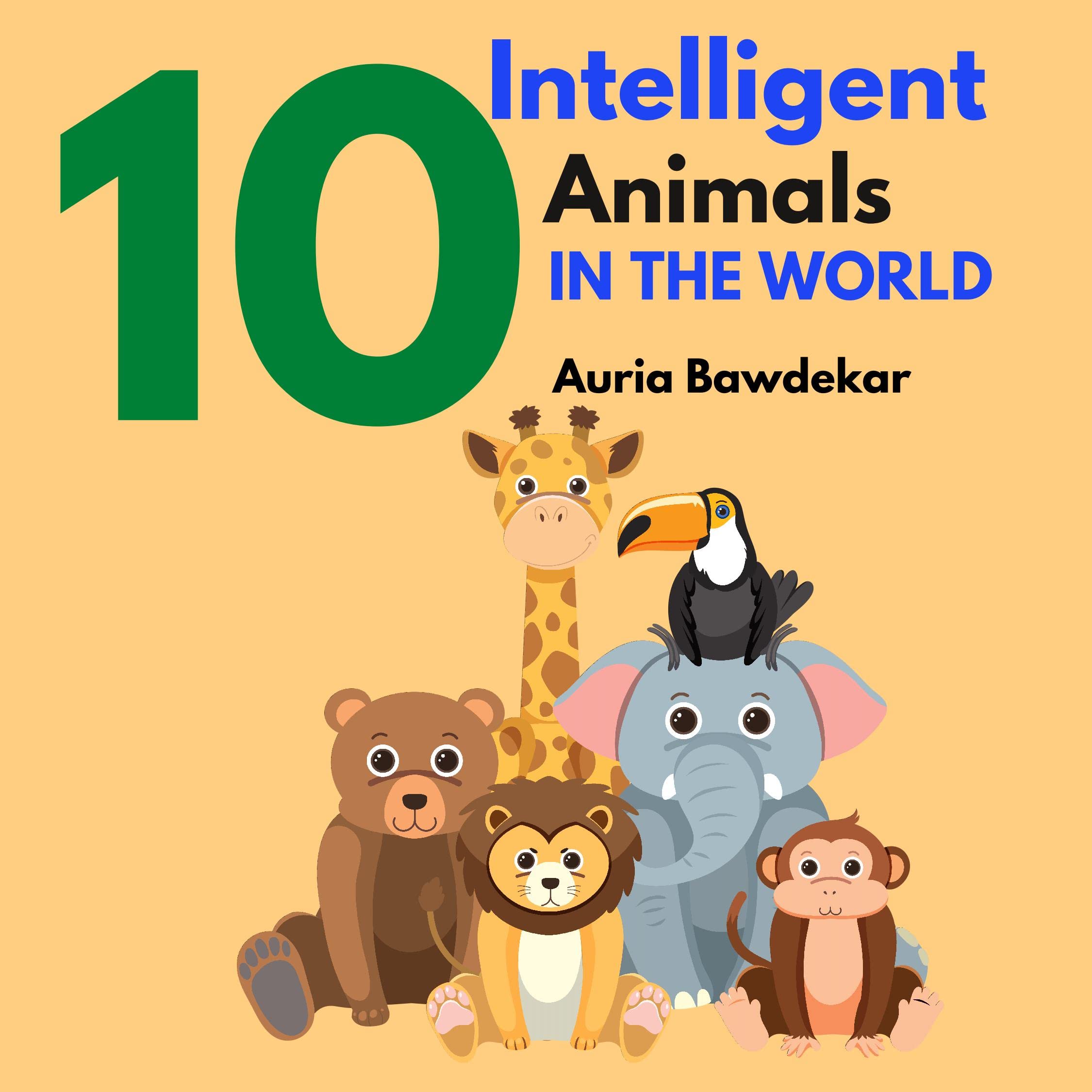 The Top 10 Most Intelligent Animals in the World : Bonus end of the ...
