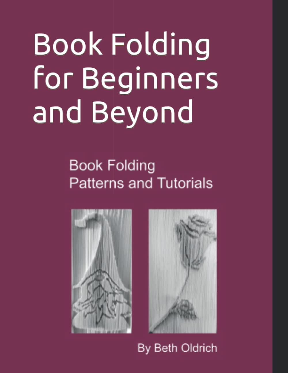 Book Folding for Beginners and Beyond: Book Folding Tutorials and ...