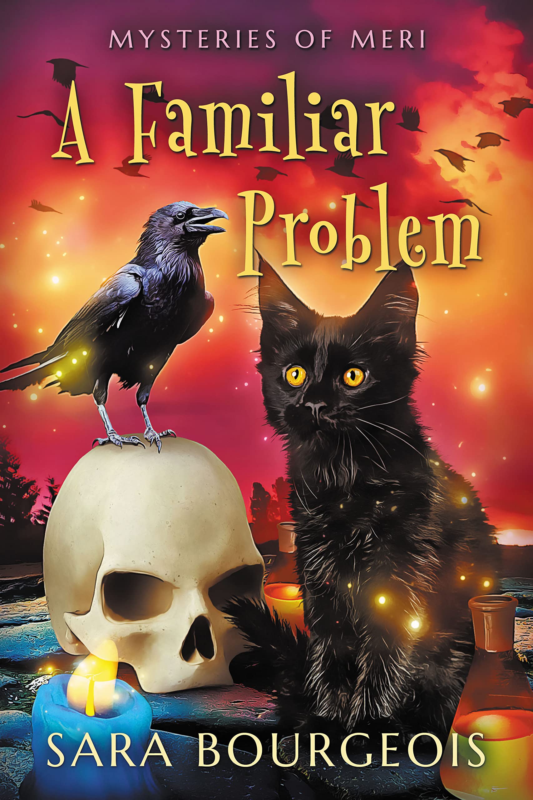 A Familiar Problem by Sara Bourgeois | Goodreads