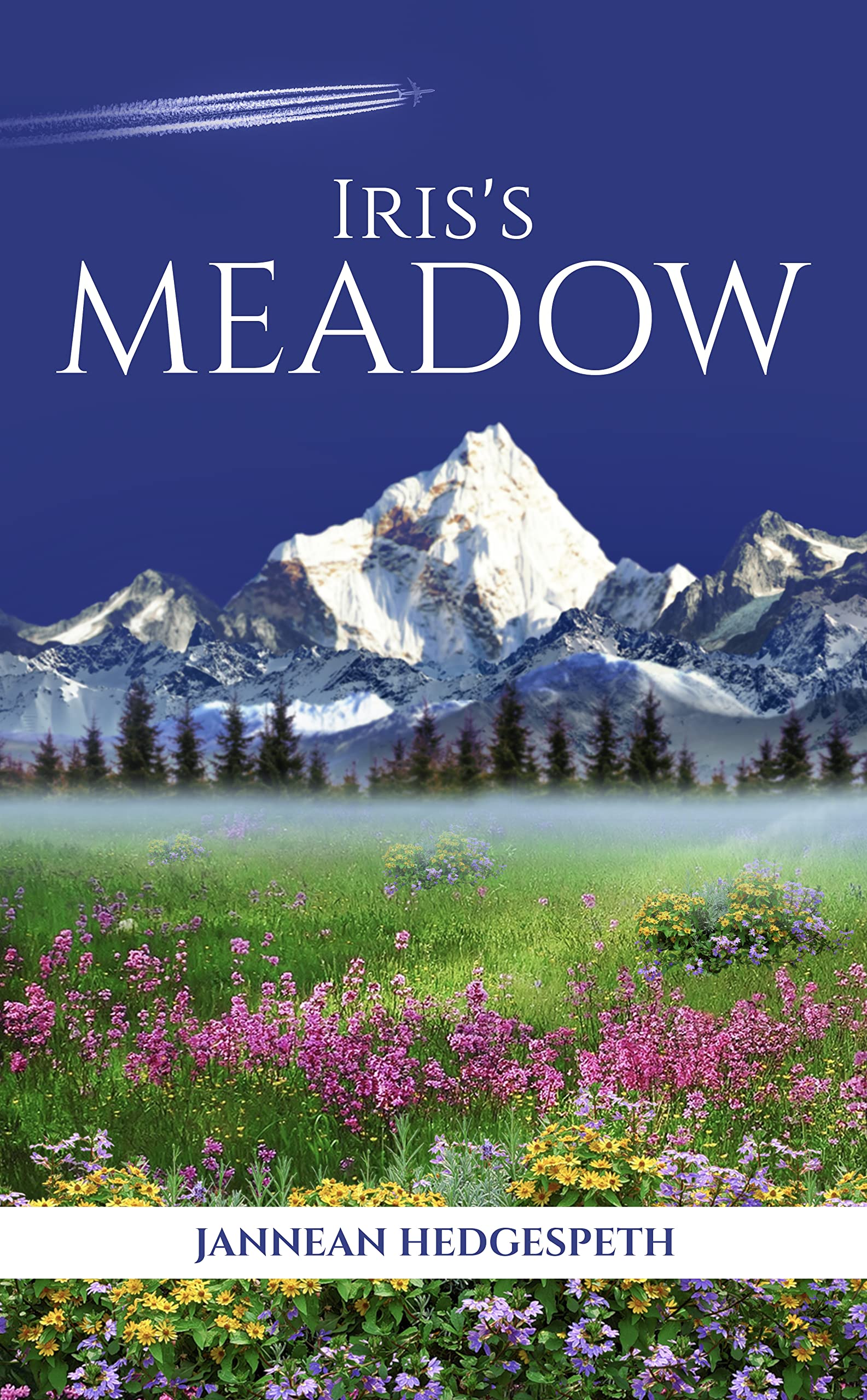 Iris's Meadow by Jannean Hedgespeth | Goodreads