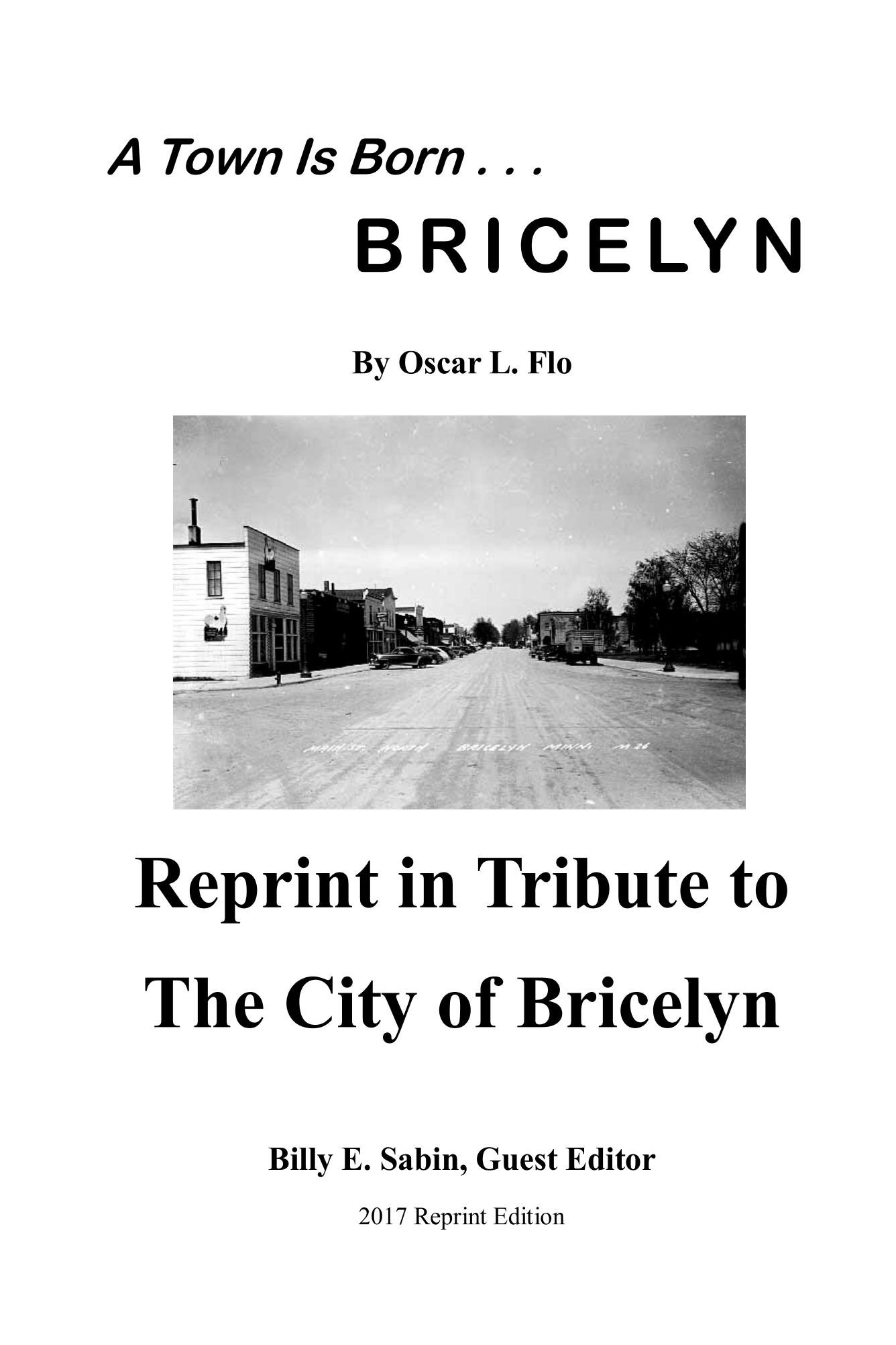 A Town Is Born: In Tribute to the City of Bricelyn by Oscar L Flo ...