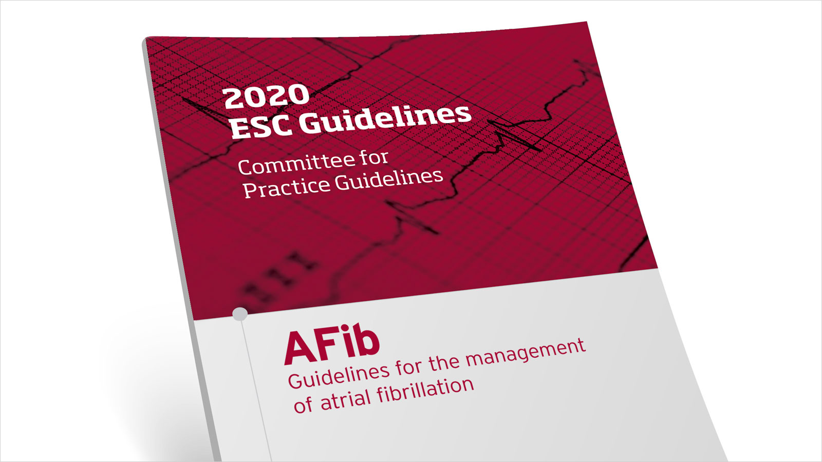 2020 Guidelines for Management of Atrial Fibrillation by European ...