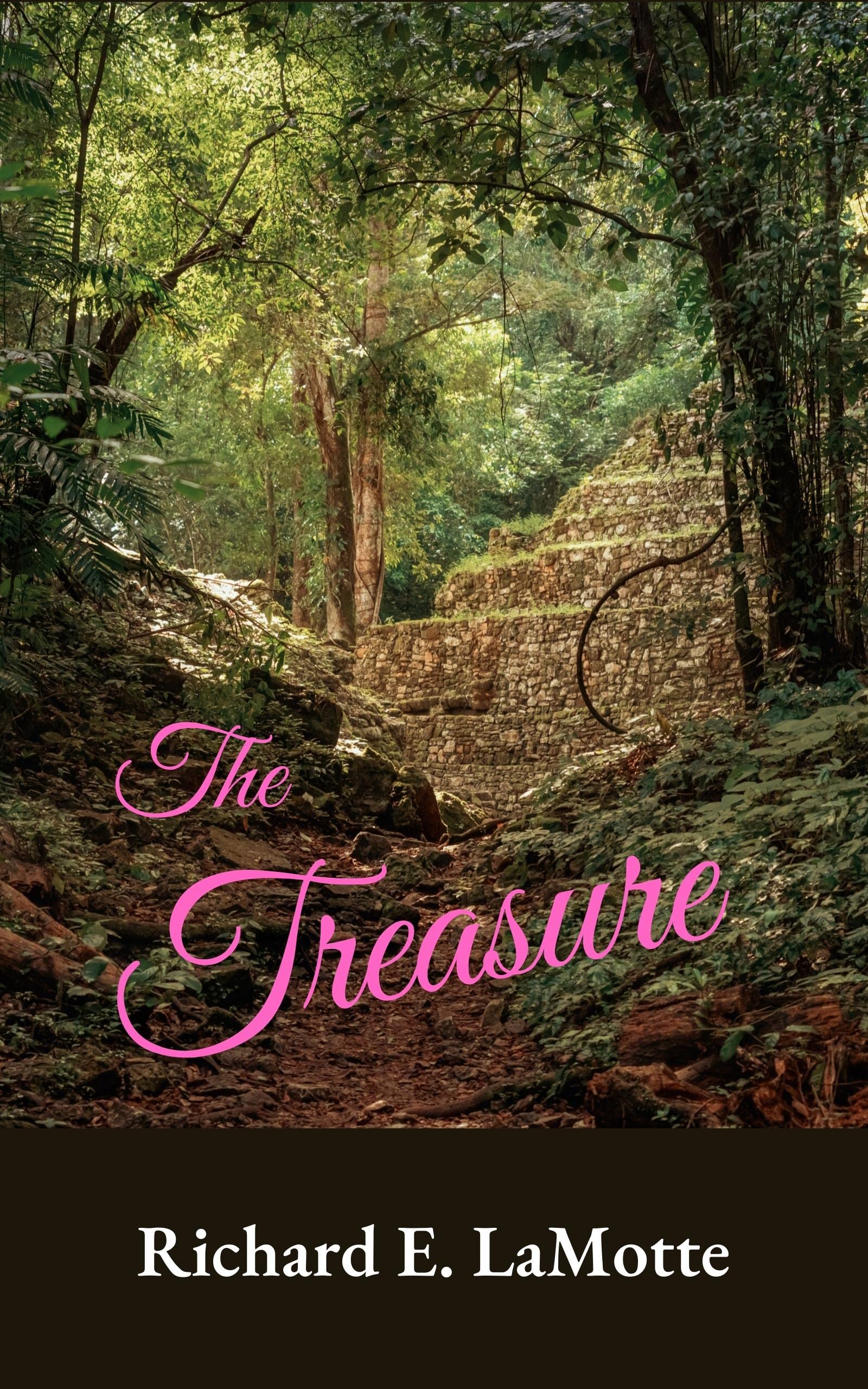 The Treasure: A Fun Romp Through the Amazon with Love, Adventure and ...
