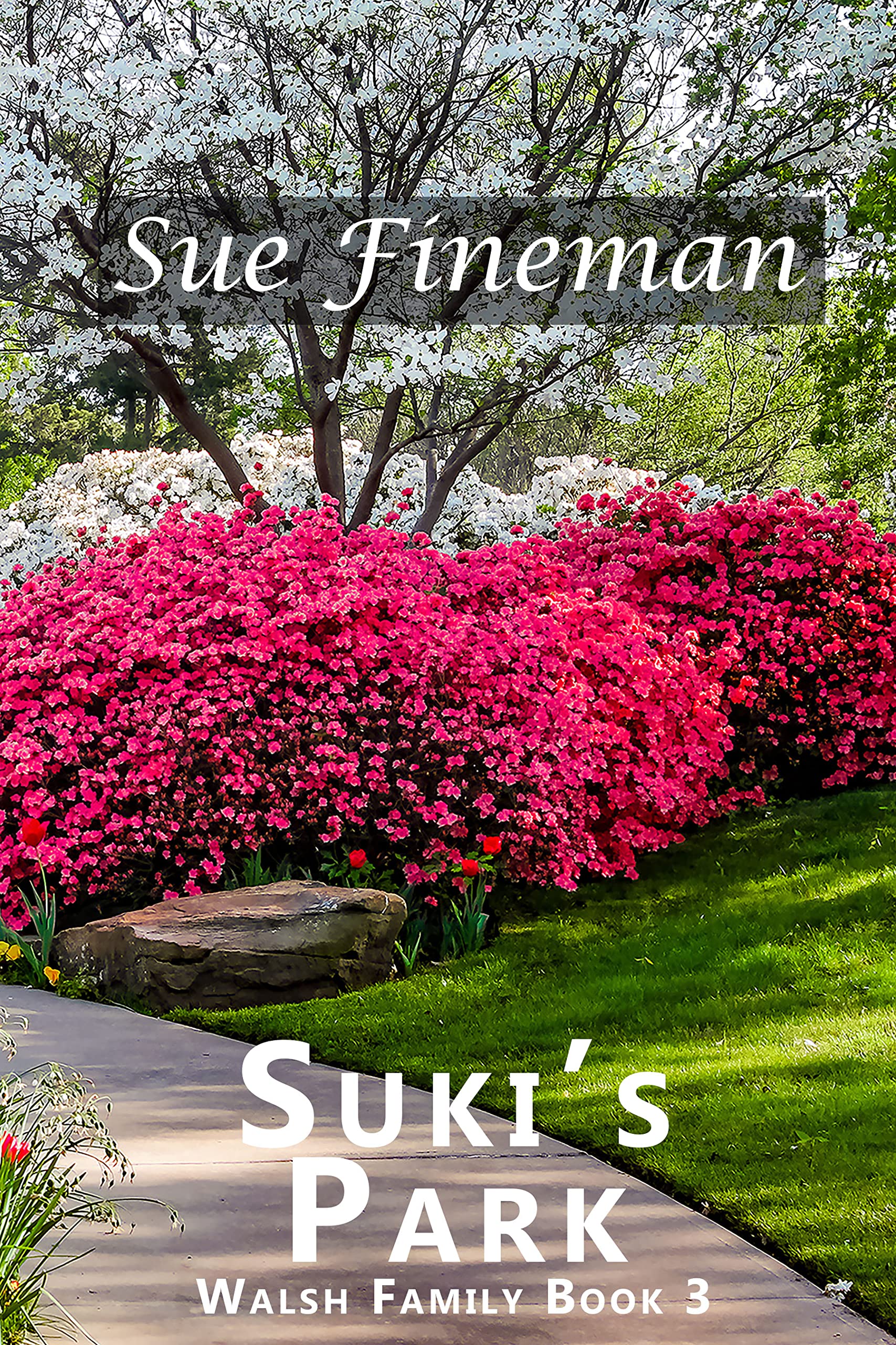 Suki's Park (Walsh Family series Book 3) by Sue Fineman | Goodreads