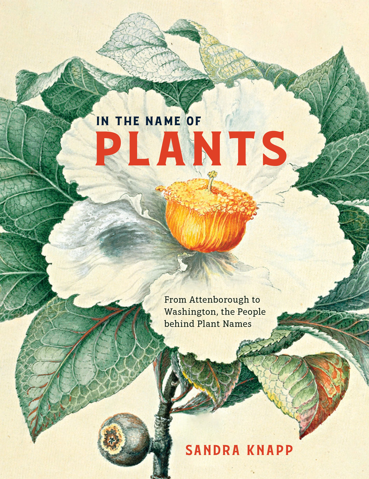 In the Name of Plants: From Attenborough to Washington, the People ...