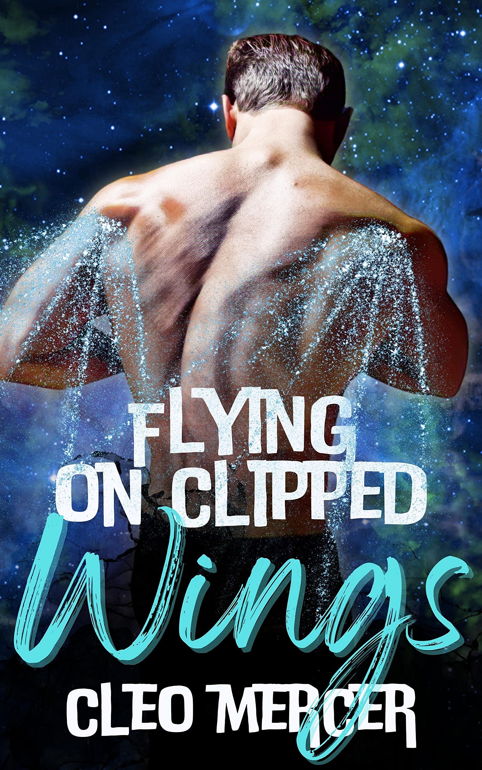 Flying on Clipped Wings (Fallen Warriors #2) by Cleo Mercer | Goodreads