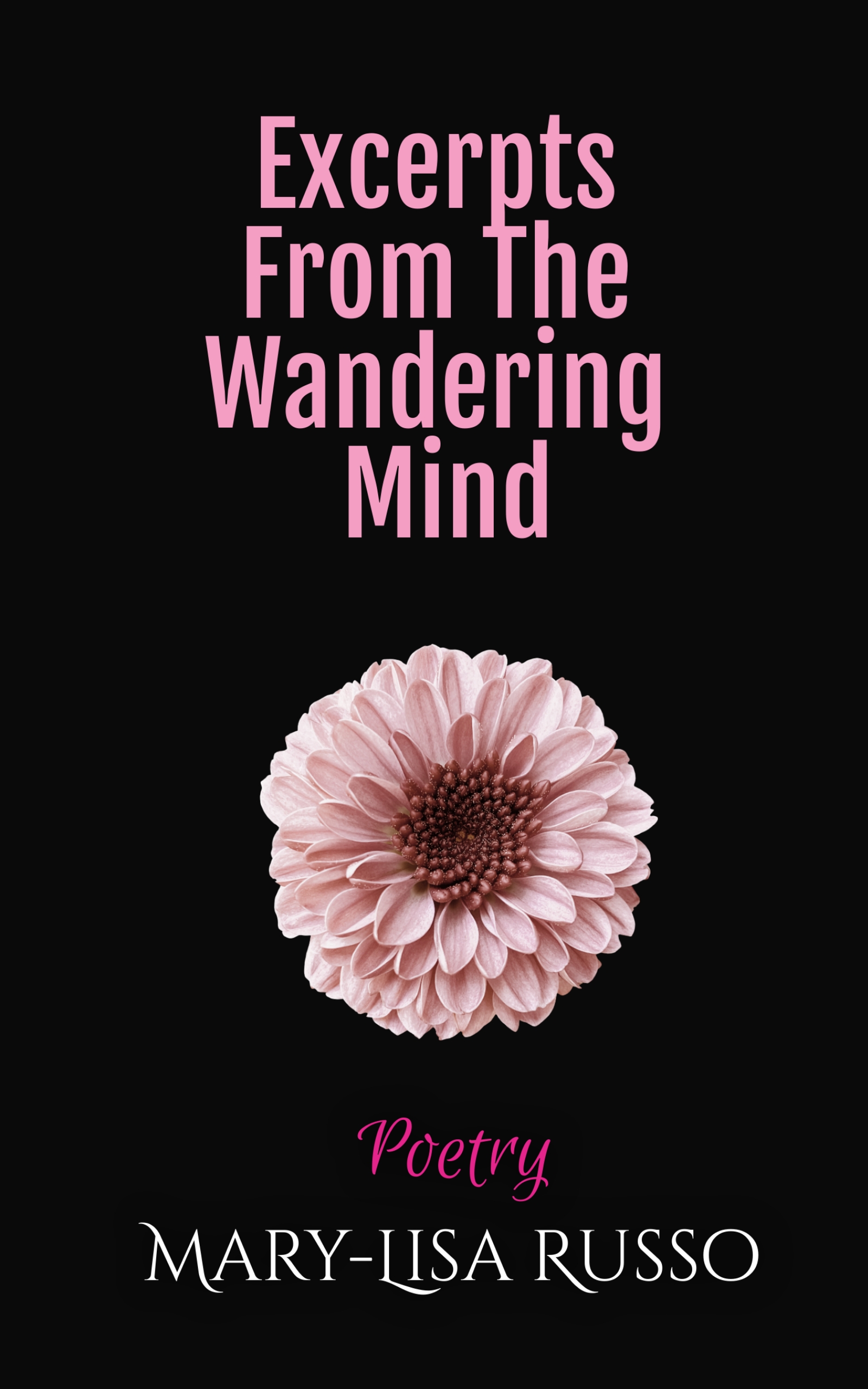 Excerpts From The Wandering Mind by Mary-Lisa Russo | Goodreads