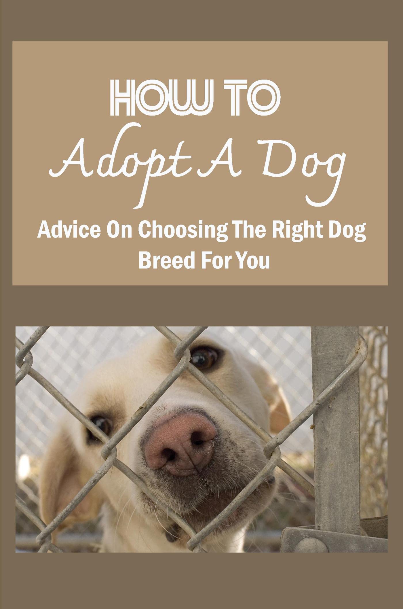 How To Adopt A Dog: Advice On Choosing The Right Dog Breed For You by ...
