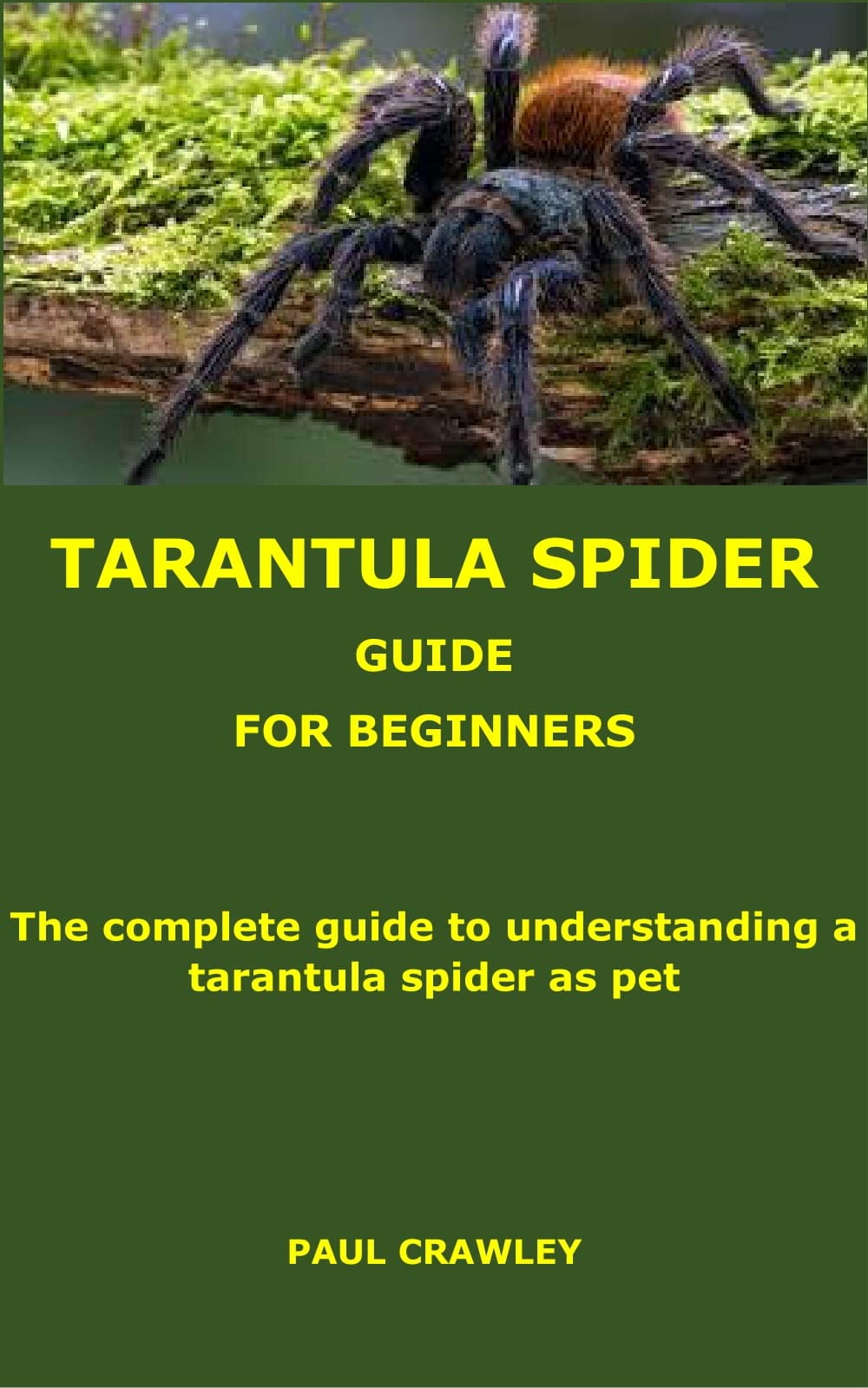 TARANTULA SPIDER GUIDE FOR BEGINNERS: The complete guide to ...