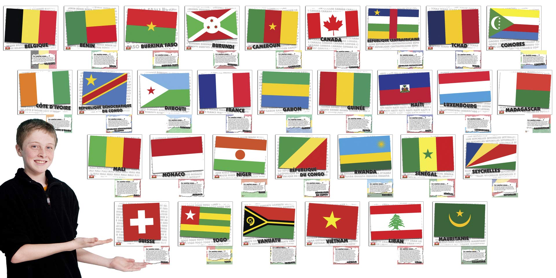 Flags of French Speaking Countries Bulletin Board Set by Teacher's ...