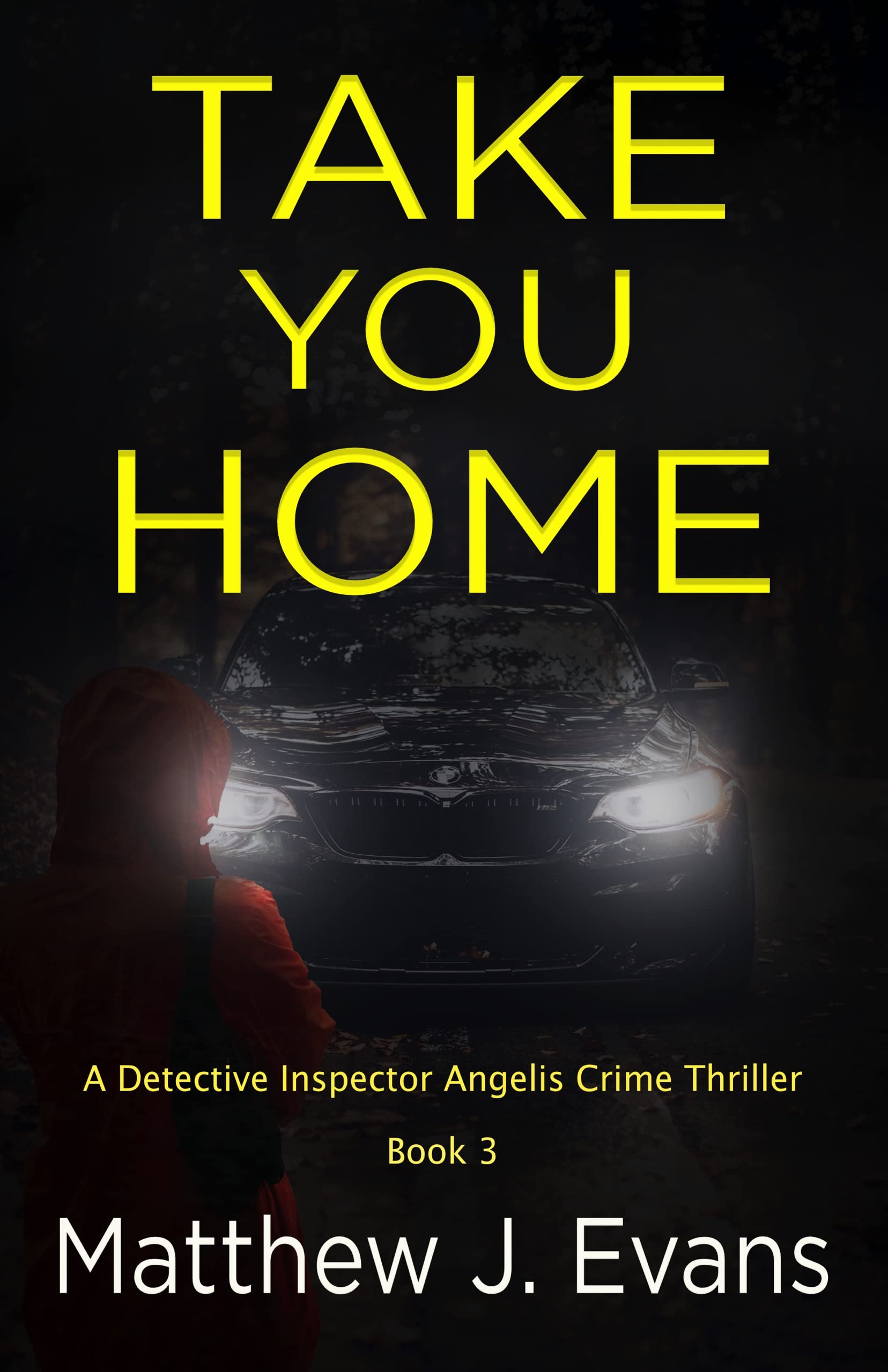 Take You Home by Matthew J. Evans | Goodreads