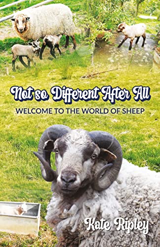 Not So Different After All: Welcome to the World of Sheep by Kate ...