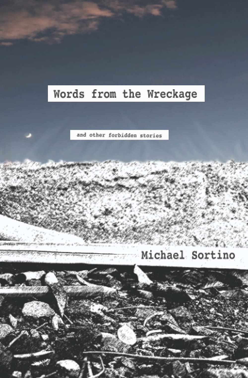 Words From the Wreckage: and other forbidden stories by Michael Sortino ...