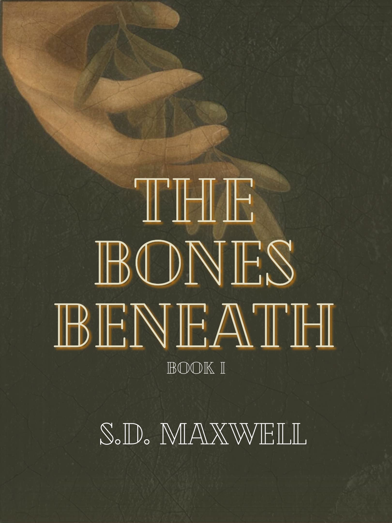 The Bones Beneath: Of Blood and Bones (Book One) by S.D. Maxwell ...