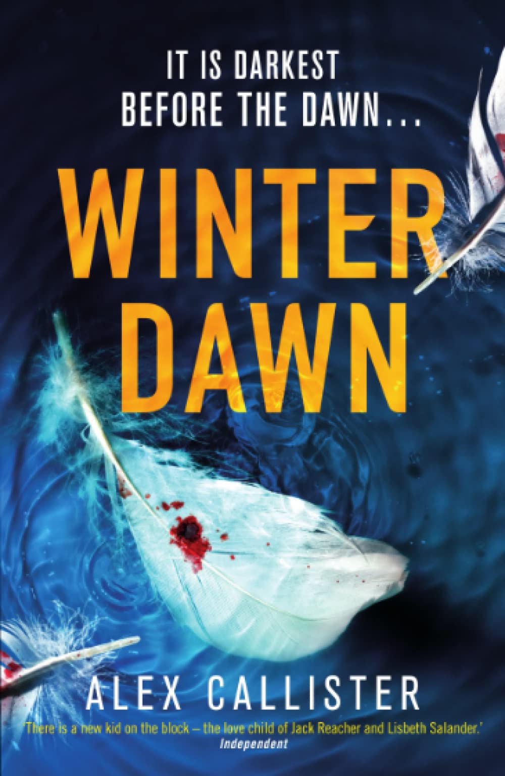 Winter Dawn: A totally gripping crime thriller with heart-pounding ...