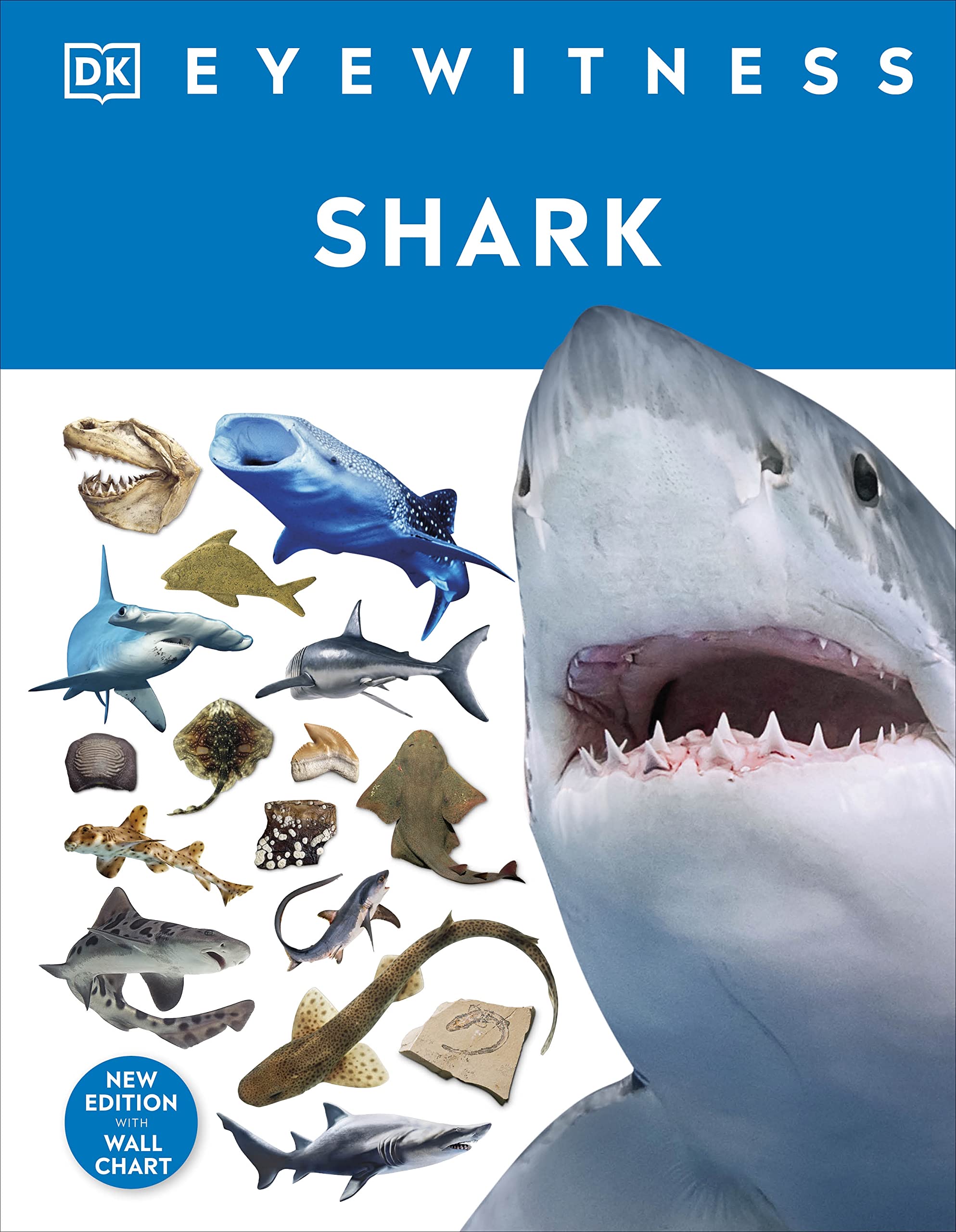 Shark (DK Eyewitness) by D.K. Publishing | Goodreads