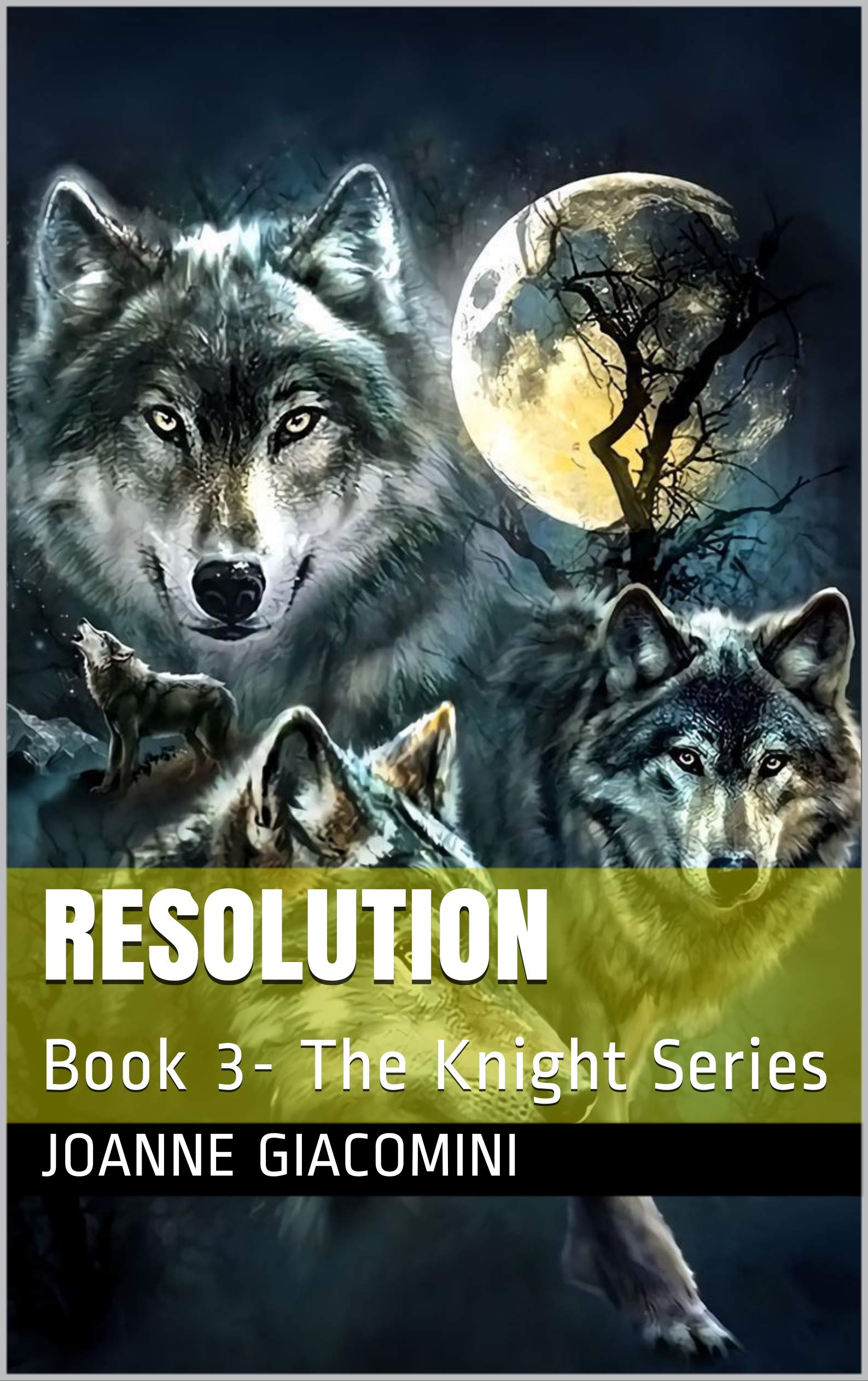 Resolution: Book 3- The Knight Series by Joanne Giacomini | Goodreads