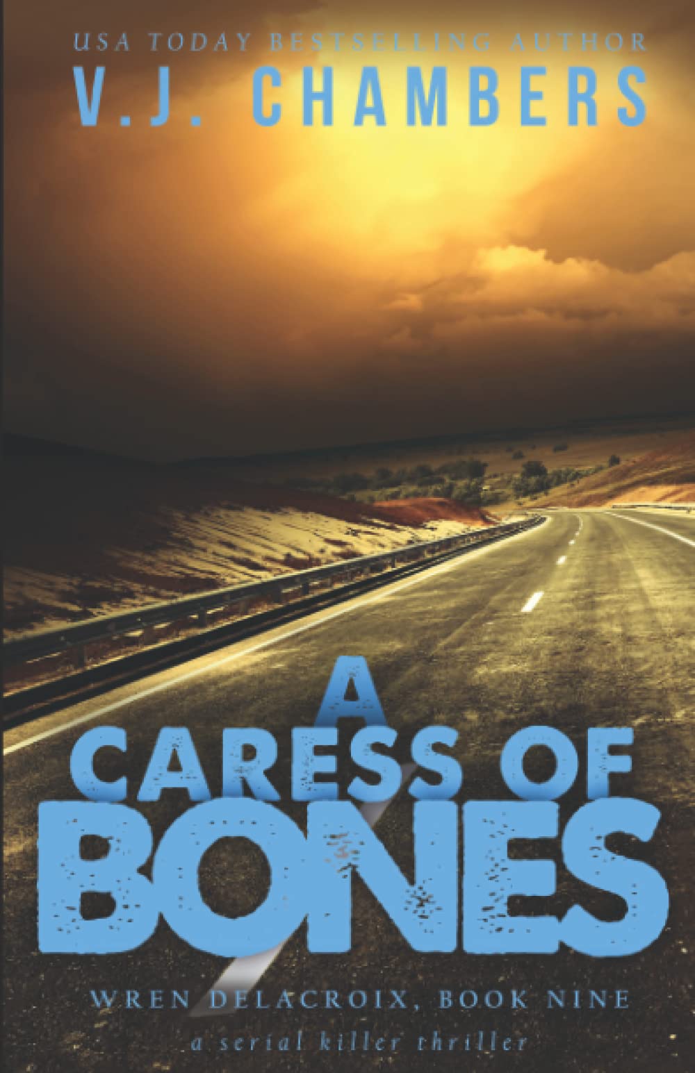 A Caress of Bones: a serial killer thriller by V. J. Chambers | Goodreads