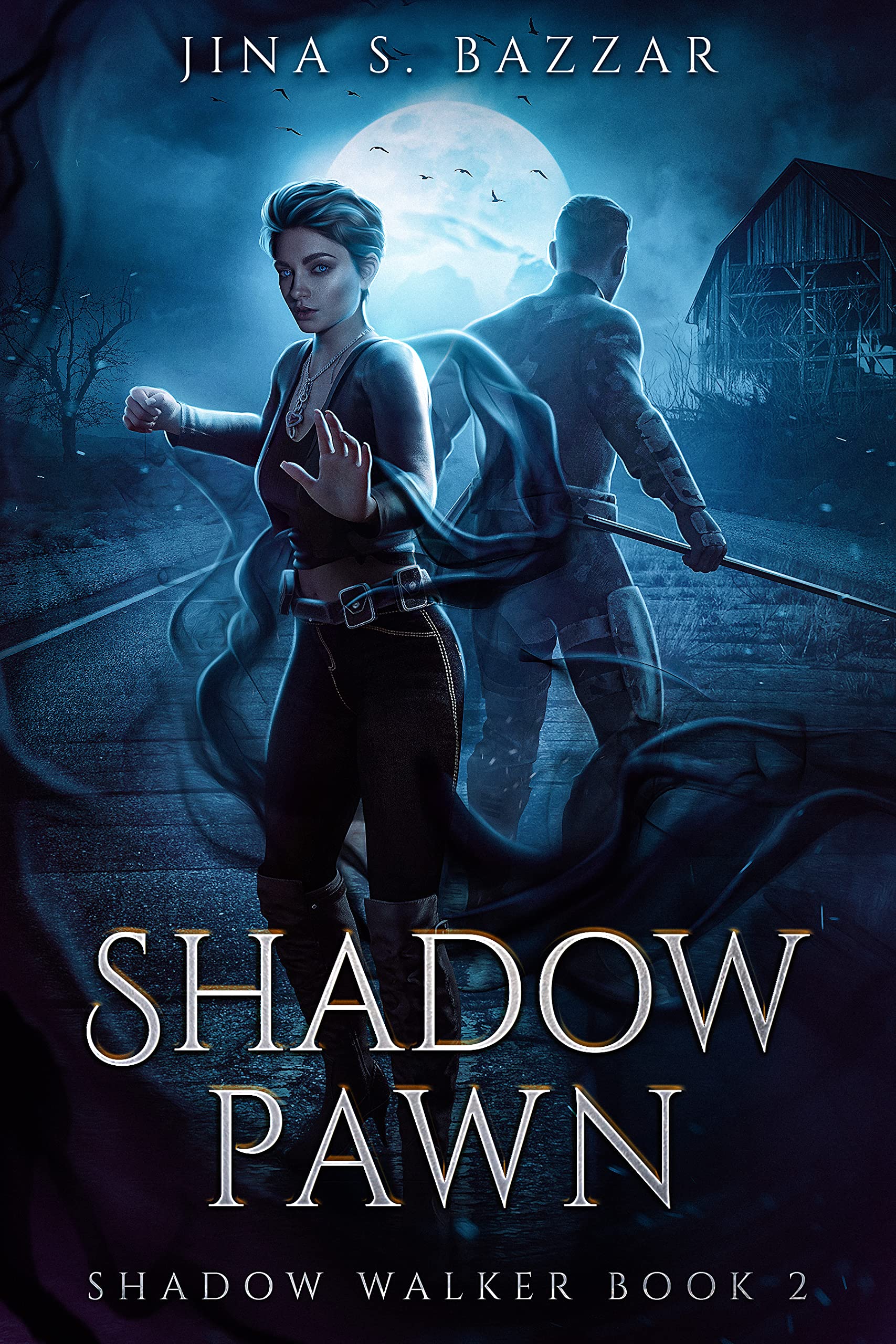 Shadow Pawn (Shadow Walker, #2) by Jina S. Bazzar | Goodreads