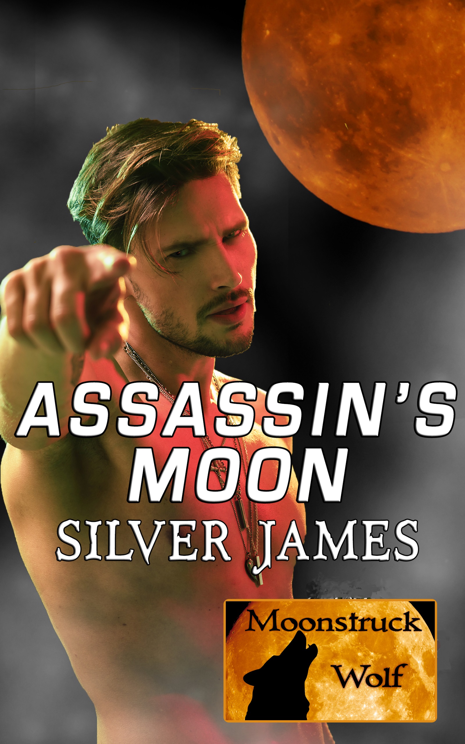 Assassin's Moon: Moonstruck Wolf #6 by Silver James | Goodreads