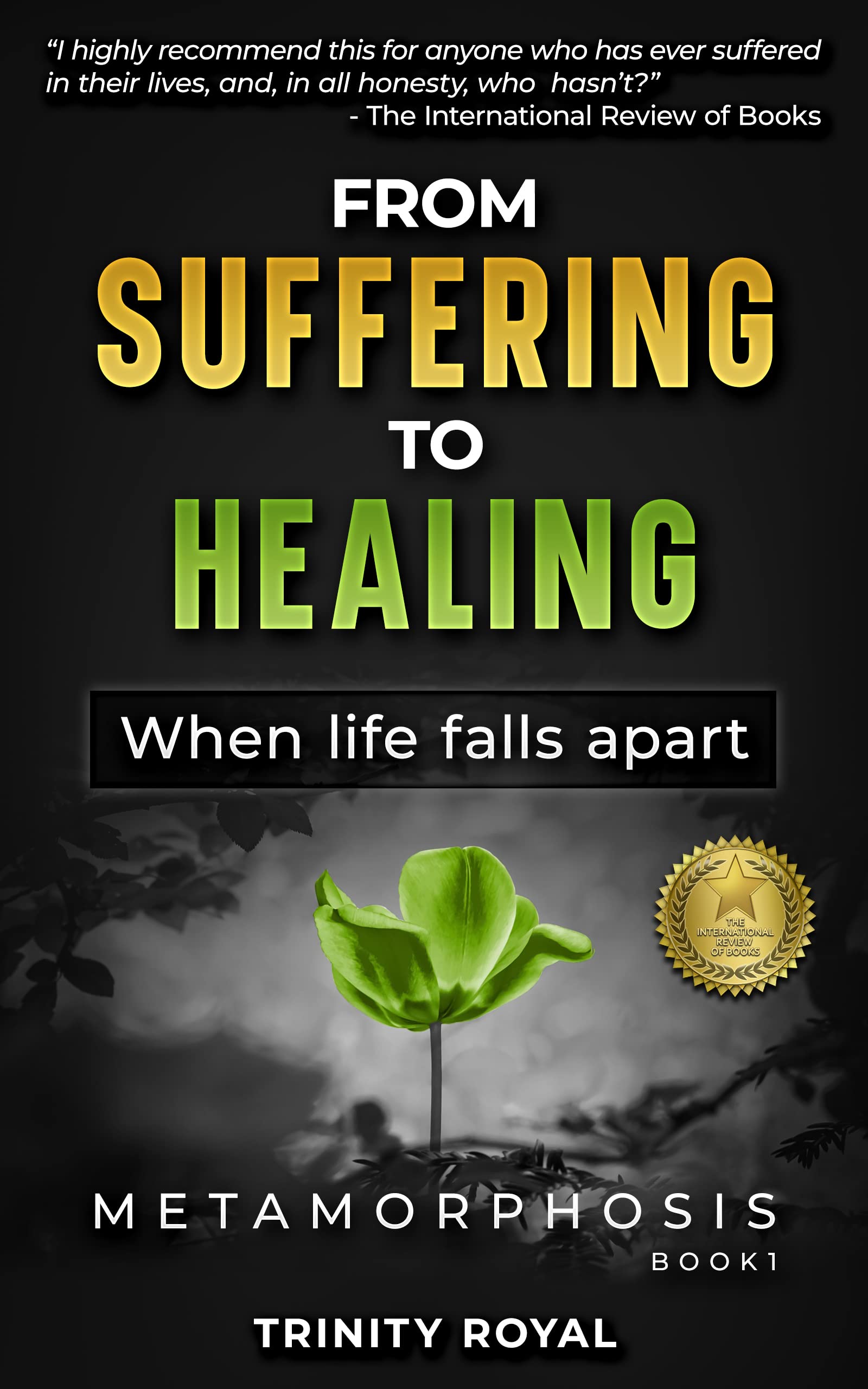 From Suffering to Healing: When your Soul is Hurt, When life falls ...