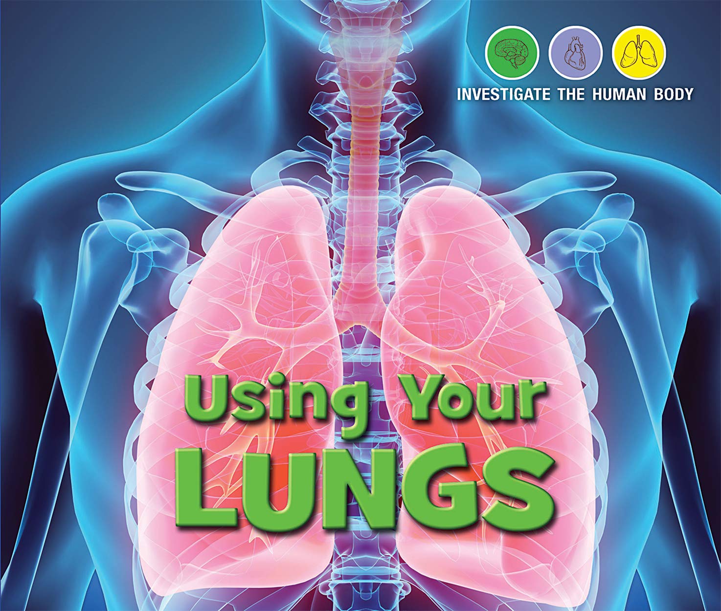 Using Your Lungs (Investigate the Human Body) by Therese Shea | Goodreads