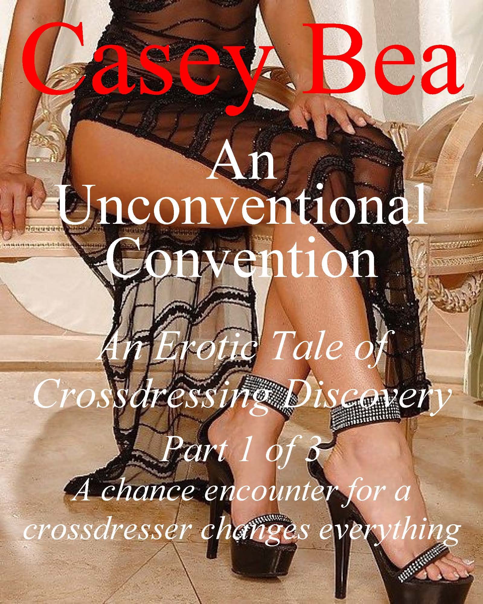 An Unconventional Convention: An Erotic Tale of Crossdressing Discovery: Part 1 of 3 by Casey ...