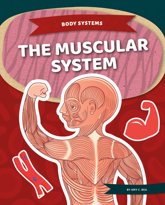 The Muscular System by Amy C Rea | Goodreads