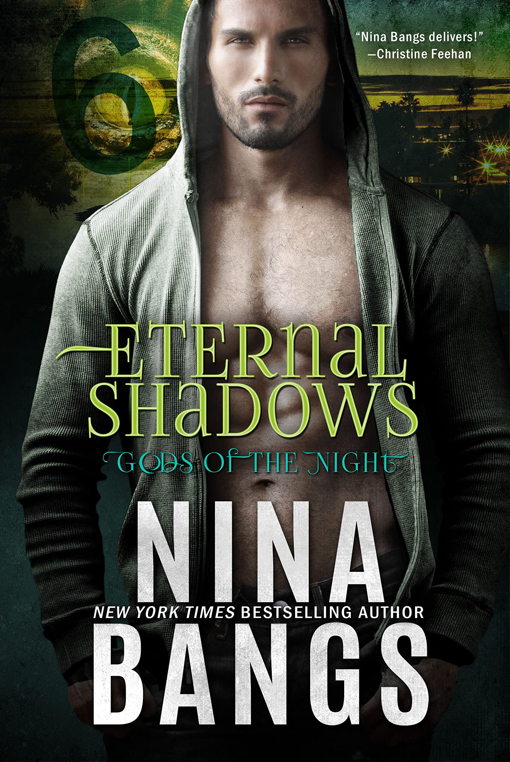 Eternal Shadows (Gods of the Night Book 4) by Nina Bangs | Goodreads