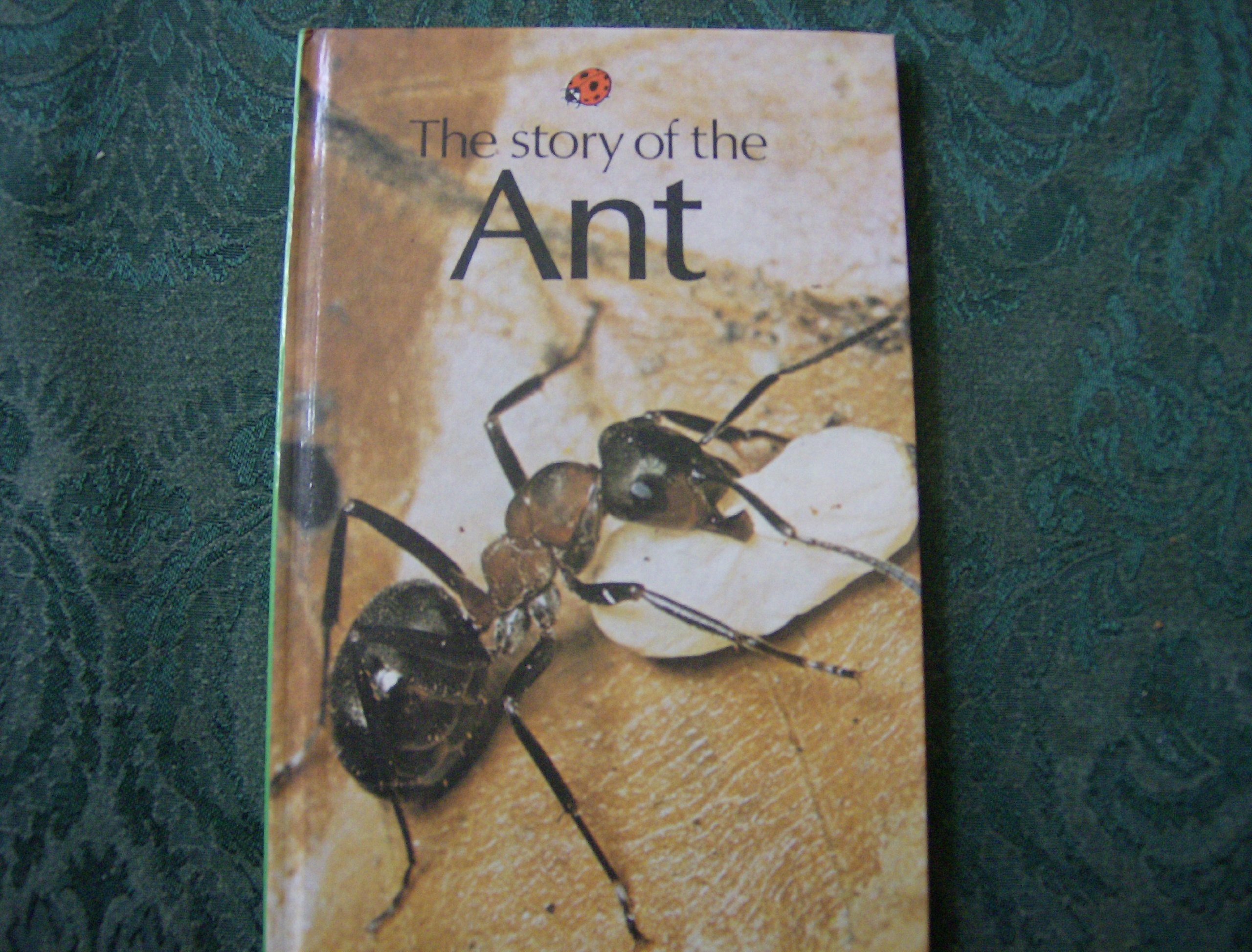 Story of the Ant (Natural History) by John Paull | Goodreads