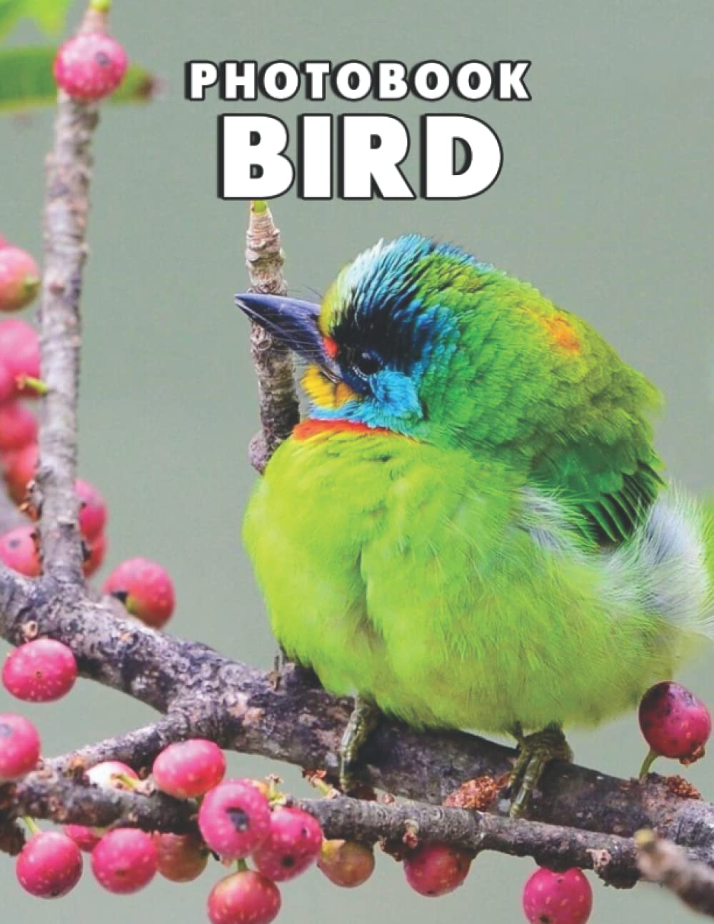 The Picture Book Of Bird: An Album Consist Of Compelling Photos ...