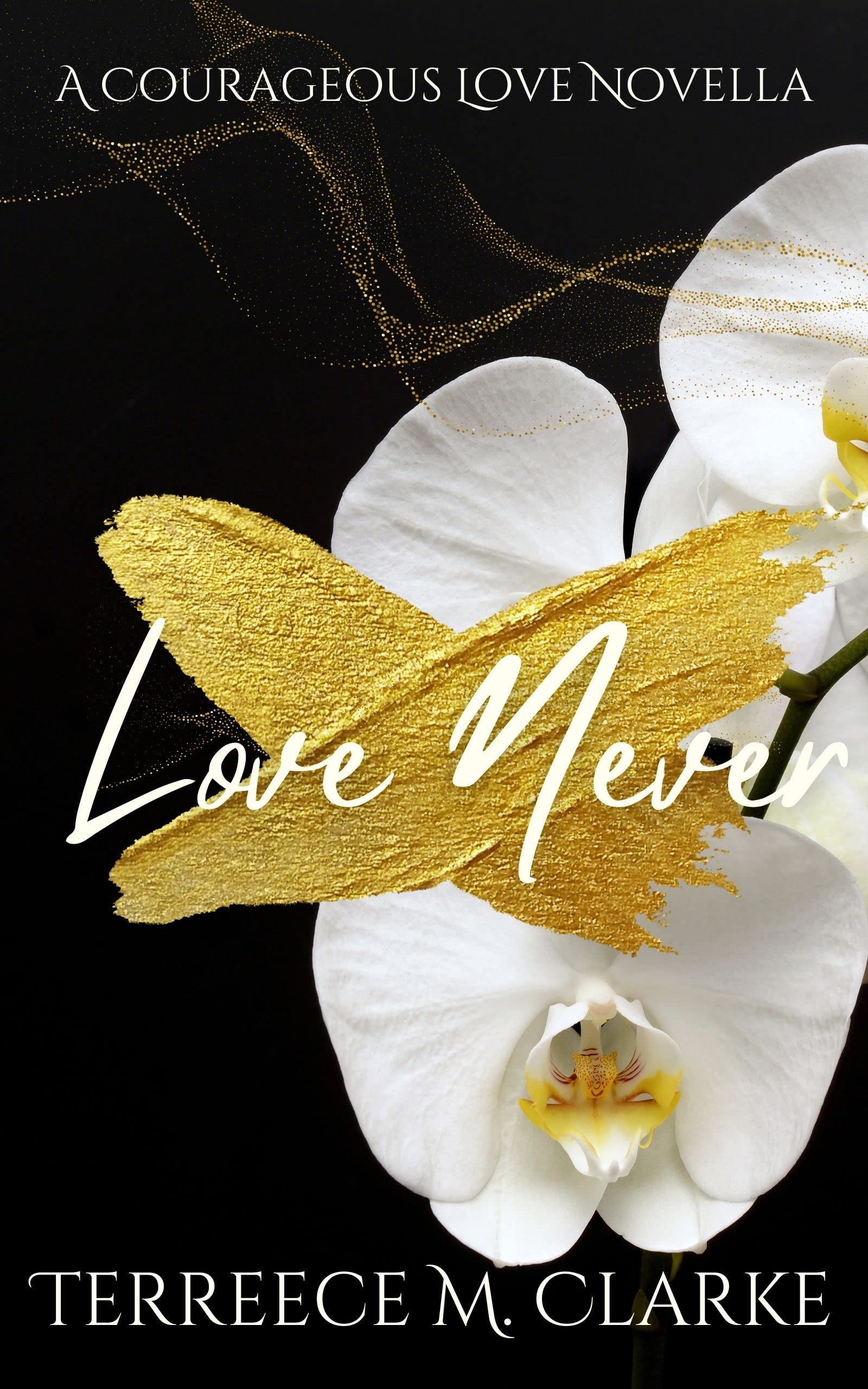 Love Never: A Courageous Love Novella (An angsty, small town short ...