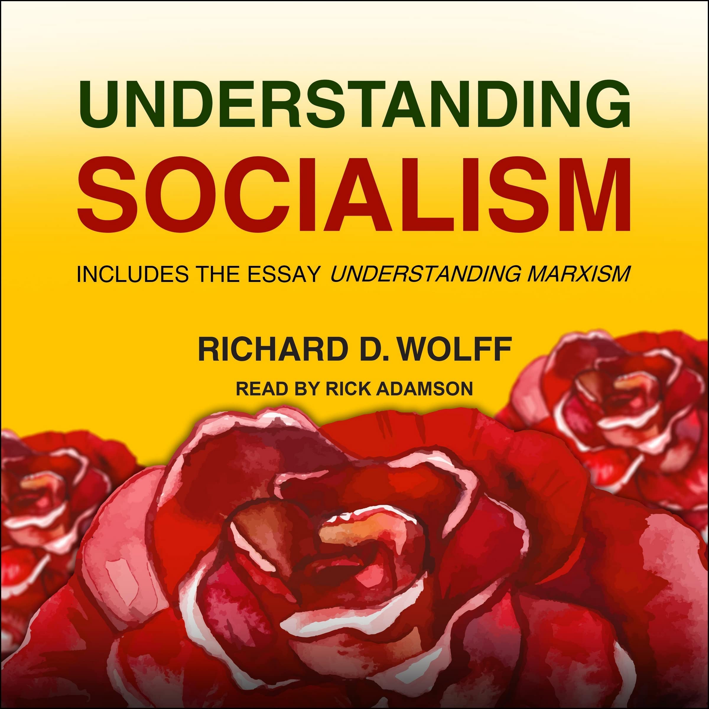 Understanding Socialism by Richard D. Wolff | Goodreads
