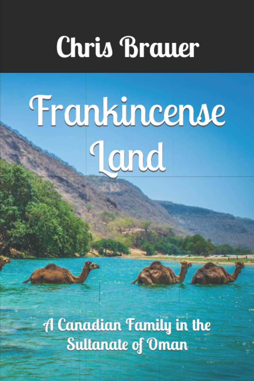 Frankincense Land: A Canadian Family in the Sultanate of Oman by Chris ...