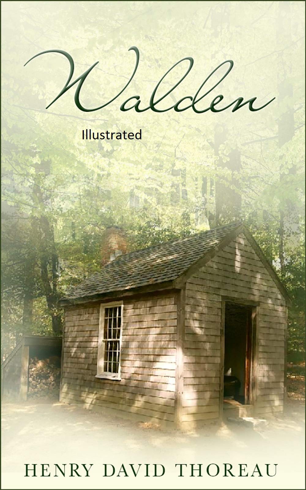 Walden Illustrated: Life In The Woods by Henry David Thoreau | Goodreads