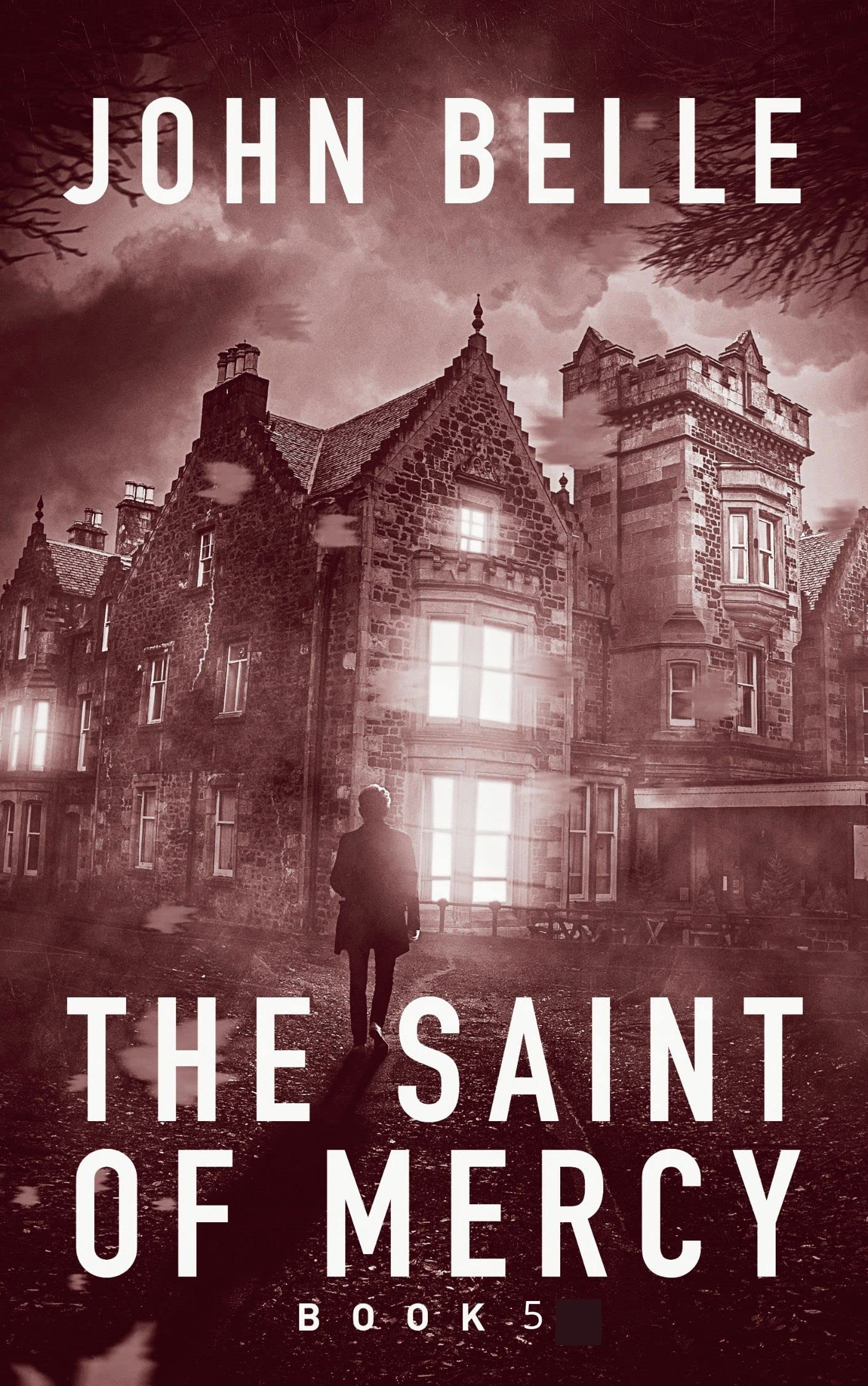 The Saint Of Mercy: Book 5 (The Saint Of Mercy Series) by John Belle ...