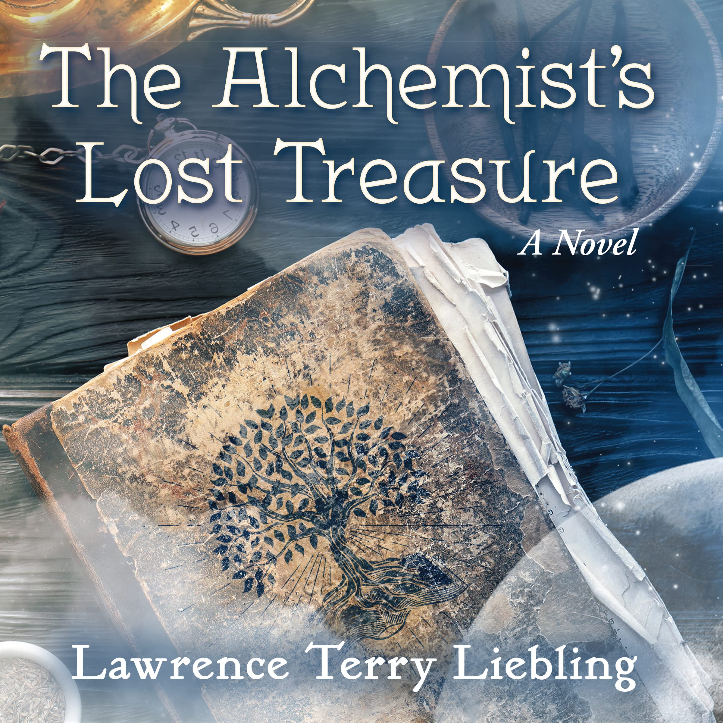 The Alchemist's Lost Treasure by Lawrence Terry Liebling | Goodreads