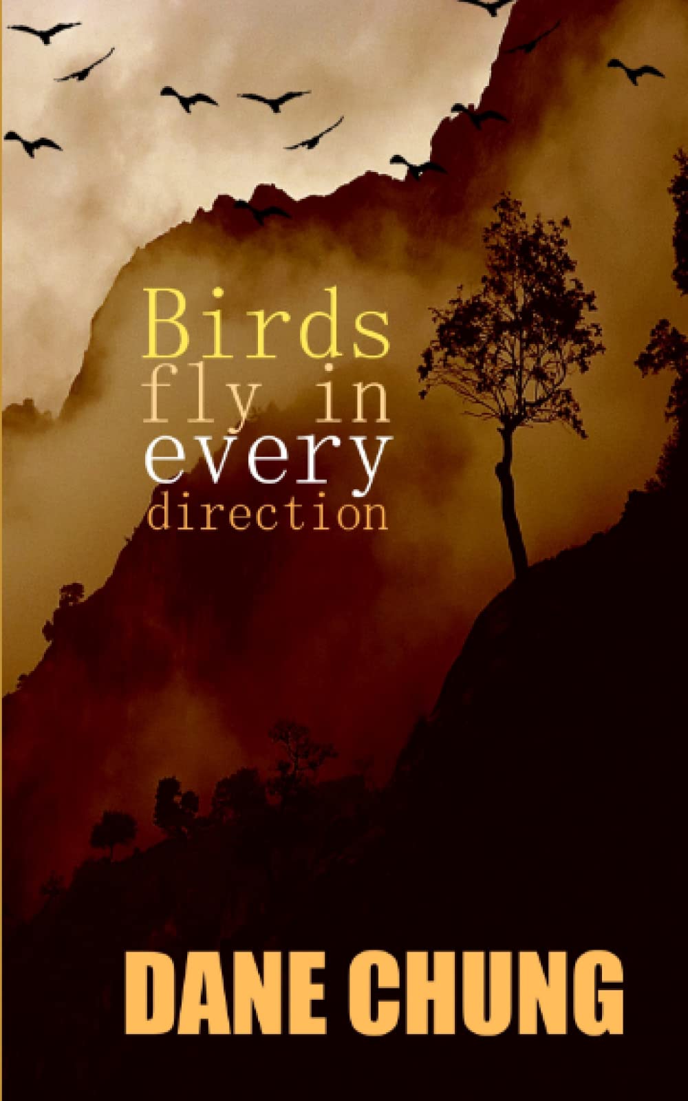 Birds fly in every direction by Dane Chung | Goodreads